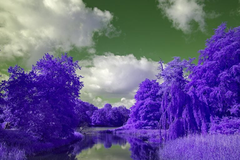 Infrared Effect Filter Comparison | IRreCams