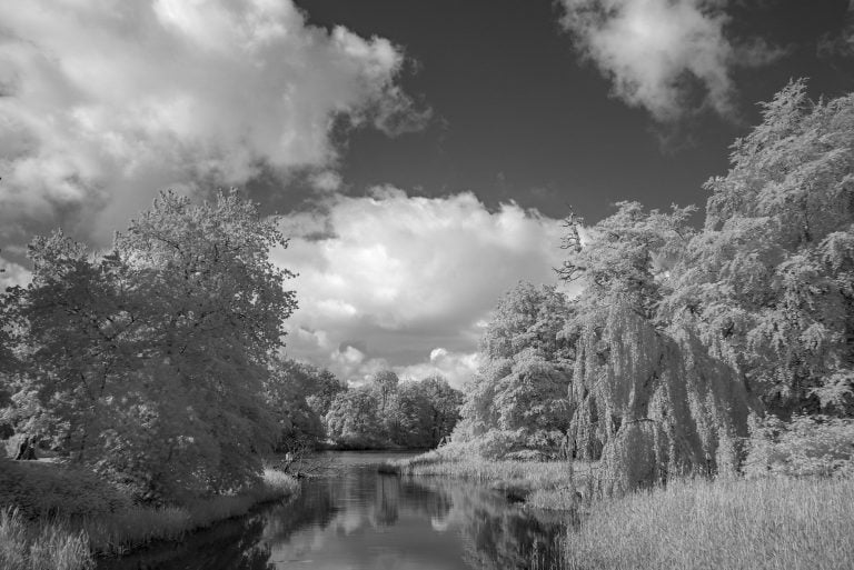 Infrared Effect Filter Comparison | IRreCams