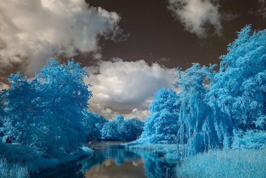 Infrared Effect Filter Comparison | IRreCams