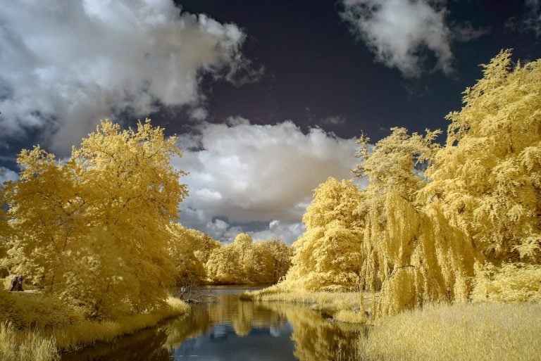 Infrared Effect Filter Comparison | IRreCams