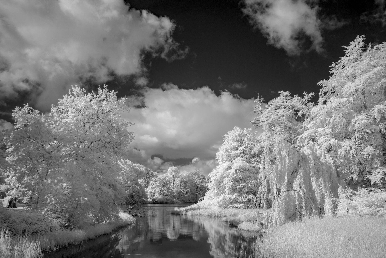 Infrared Effect Filter Comparison | IRreCams