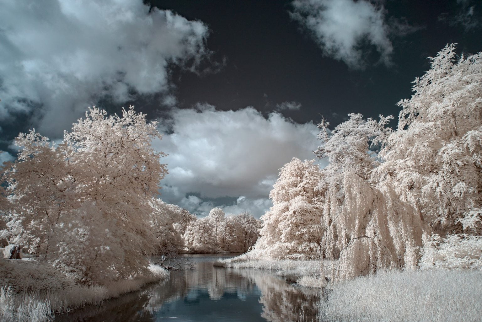 Infrared Effect Filter Comparison | IRreCams